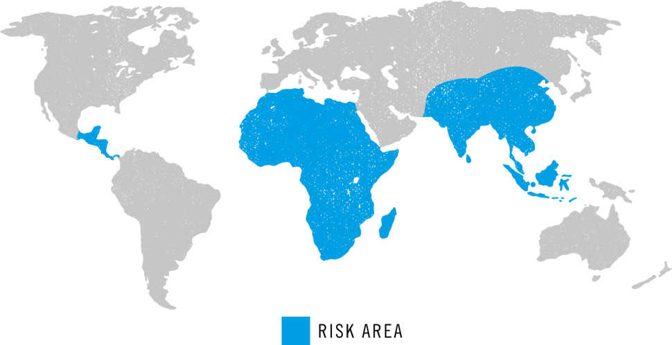 cholera-disease-map | Nomad Health