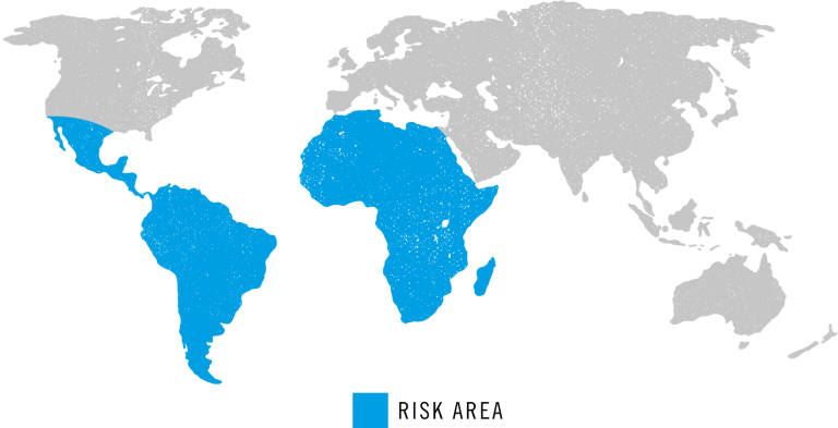 Yellow Fever Vaccination & Travel Certificate | Nomad Travel